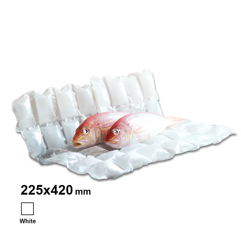 Maximizing Freshness: The Benefits of Dry Ice Fish Packing with Demi ...