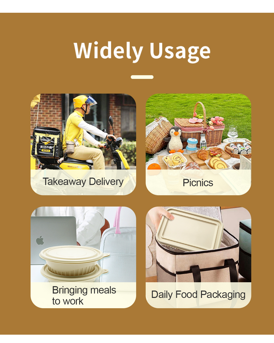 Reusable Disposable Microwave Food Container Lunch Box Corn Starch Food ...